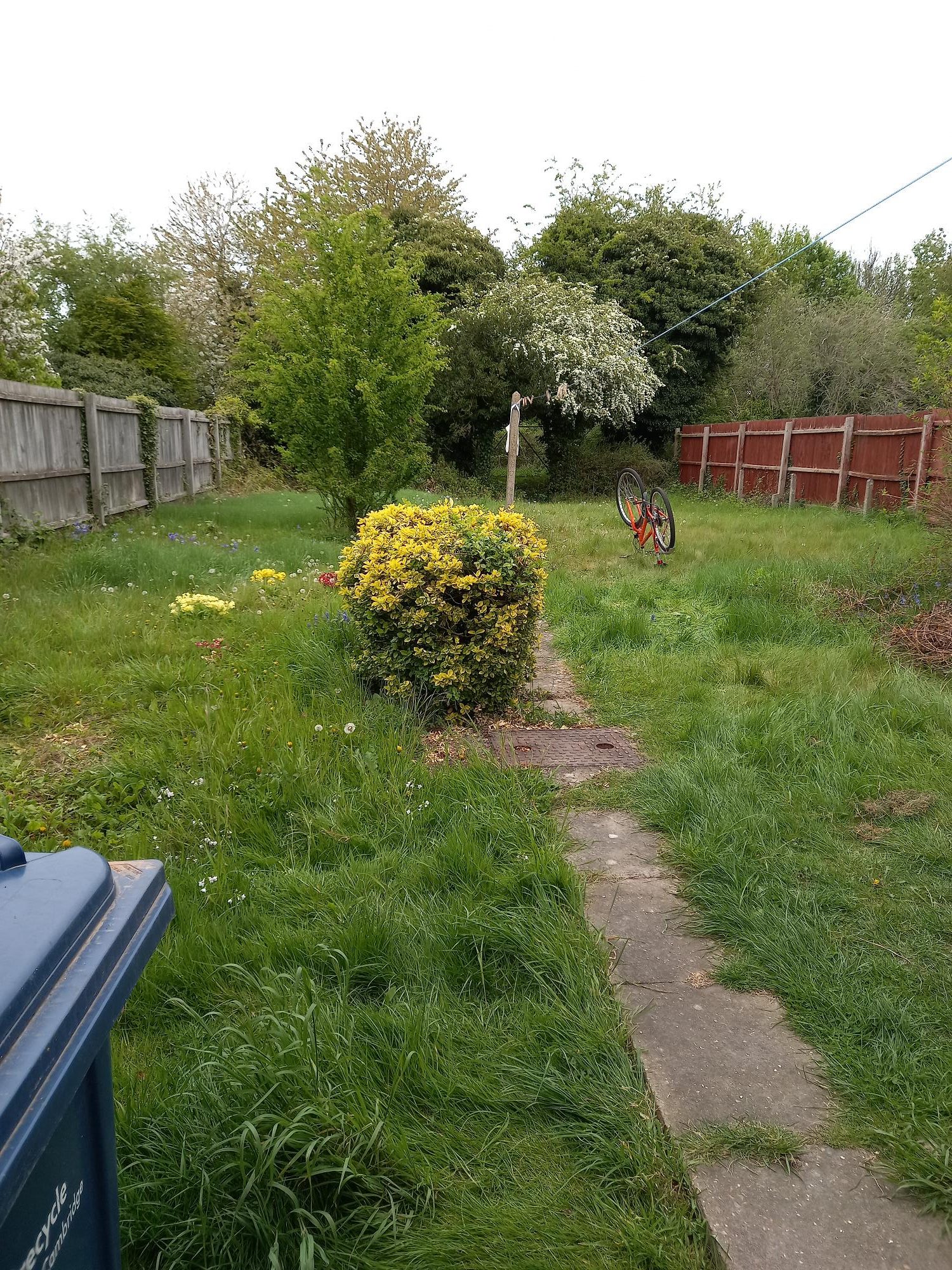 Garden Revamp - Jimmy's Cambridge